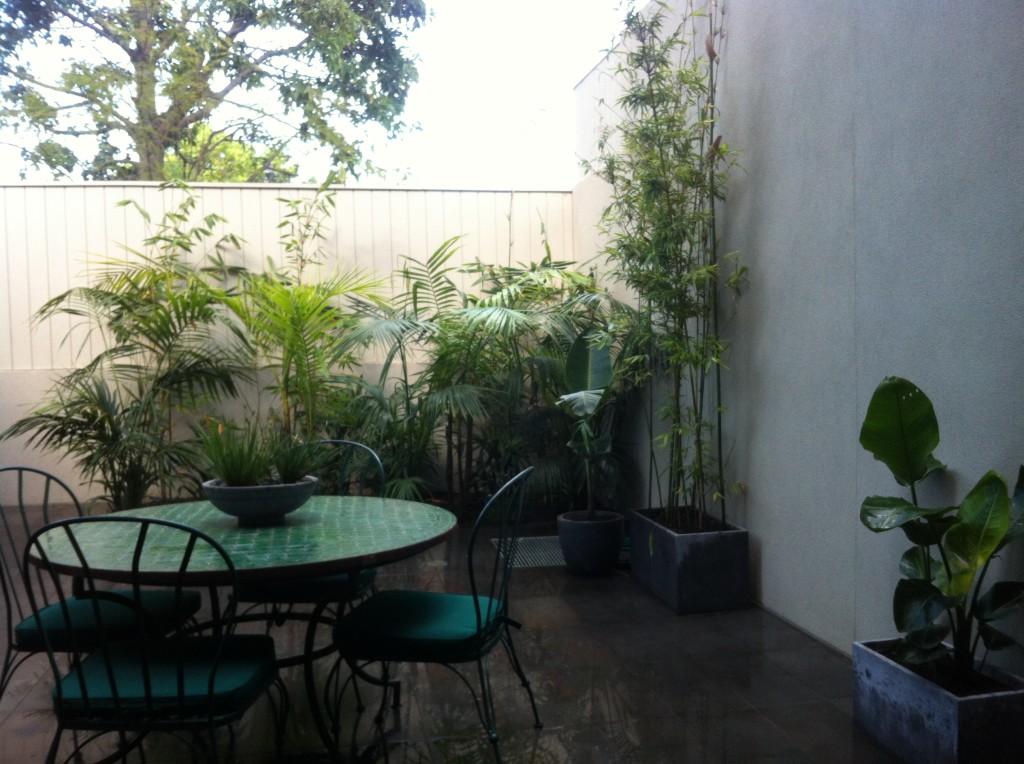 Townhouse Courtyard - small spaces GARDEN DESIGN