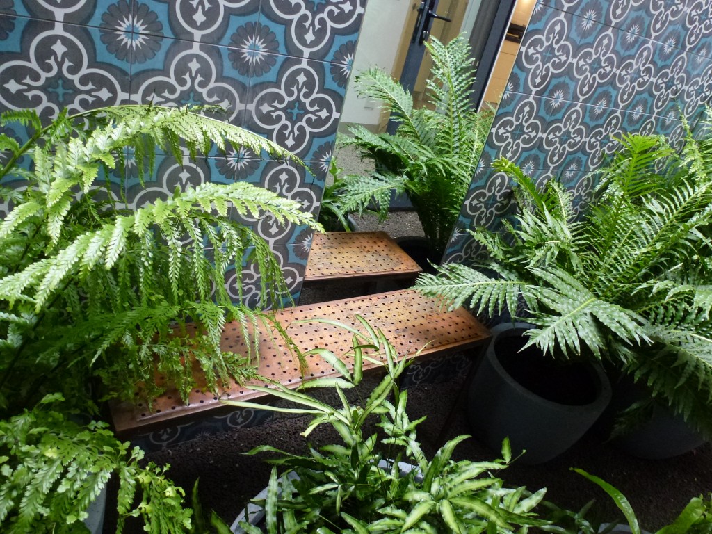 Fernery Light Well - small spaces GARDEN DESIGN
