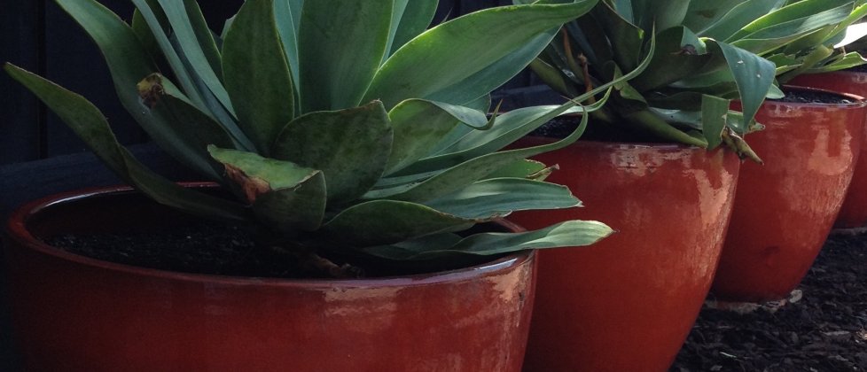 Small Spaces Garden Design | Sustainable Garden Design | Melbourne