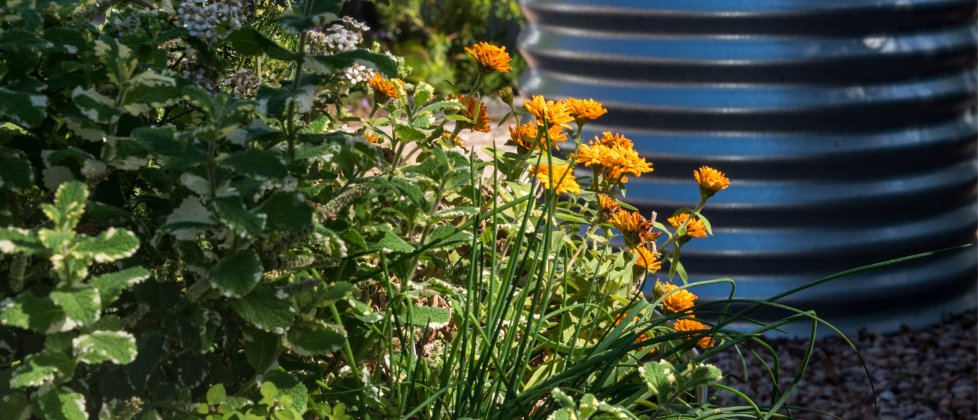 Small Spaces Garden Design | Sustainable Garden Design | Melbourne