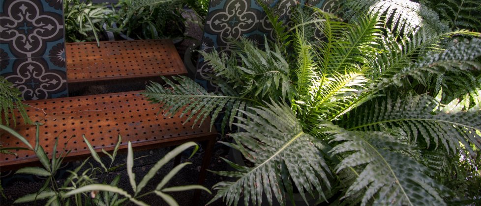 Small Spaces Garden Design | Sustainable Garden Design | Melbourne